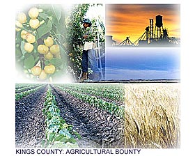 CDFA - County Relations Office