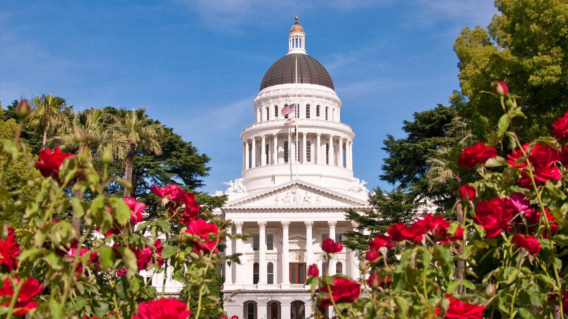 CDFA - OARS - Policy Analysis & Advisory Committee