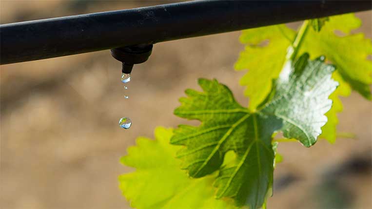 CDFA - OARS - State Water Efficiency & Enhancement Program