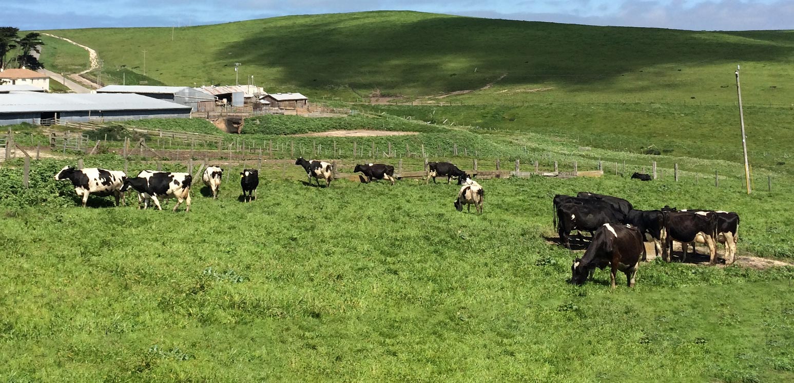 CDFA - OARS - Dairy Plus Program