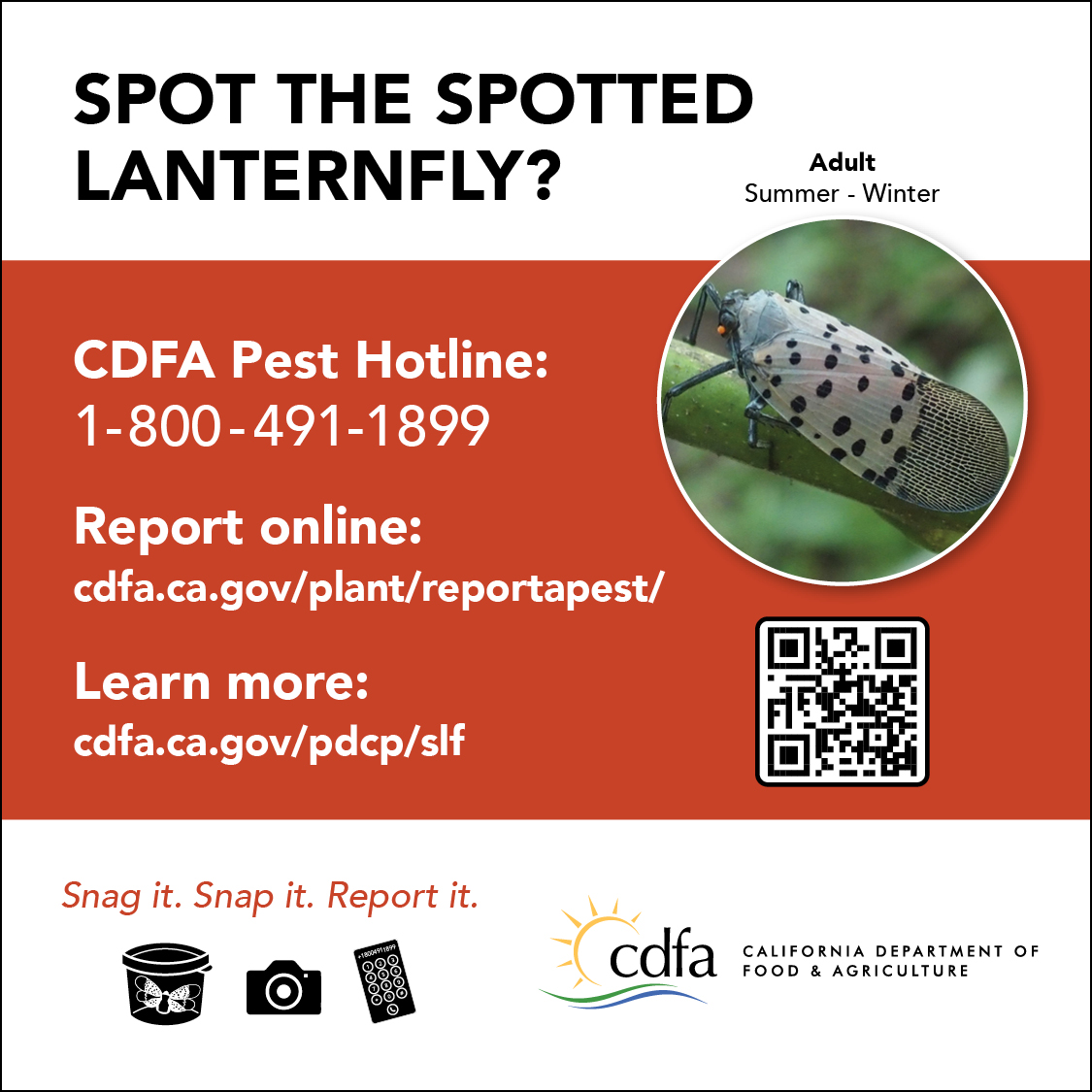 CDFA - PDCP - PD/GWSS Board - Spotted Lanternfly