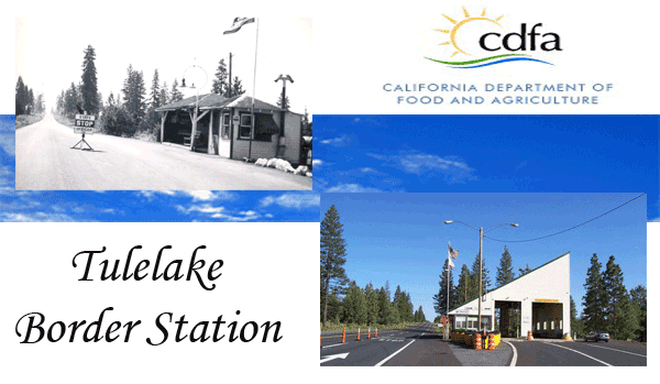 California Border Station > Tulelake - State Hwy 139