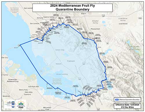 CDFA - Plant Health - Mediterranean fruit fly (MEDFLY)